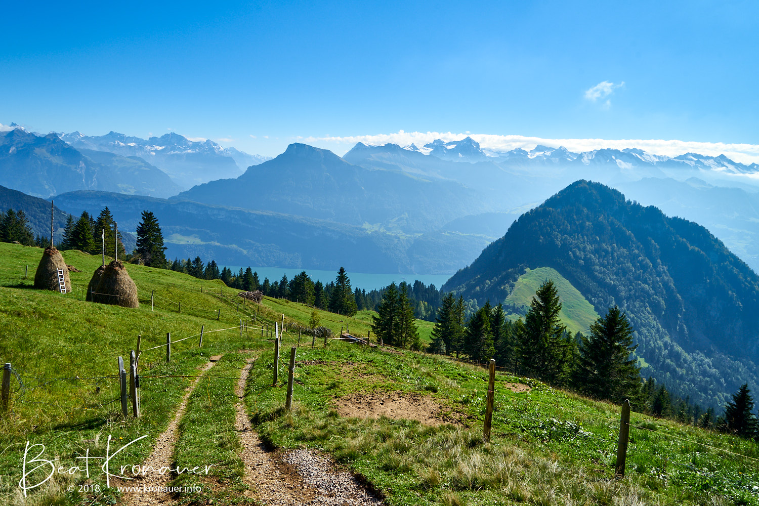 Rigi Scheidegg